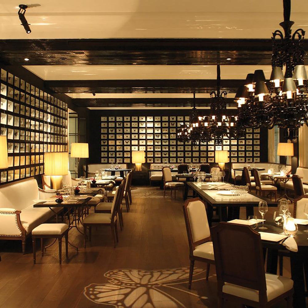 WAC Lighting LEDme Framing Projector Track Head - 2Modern