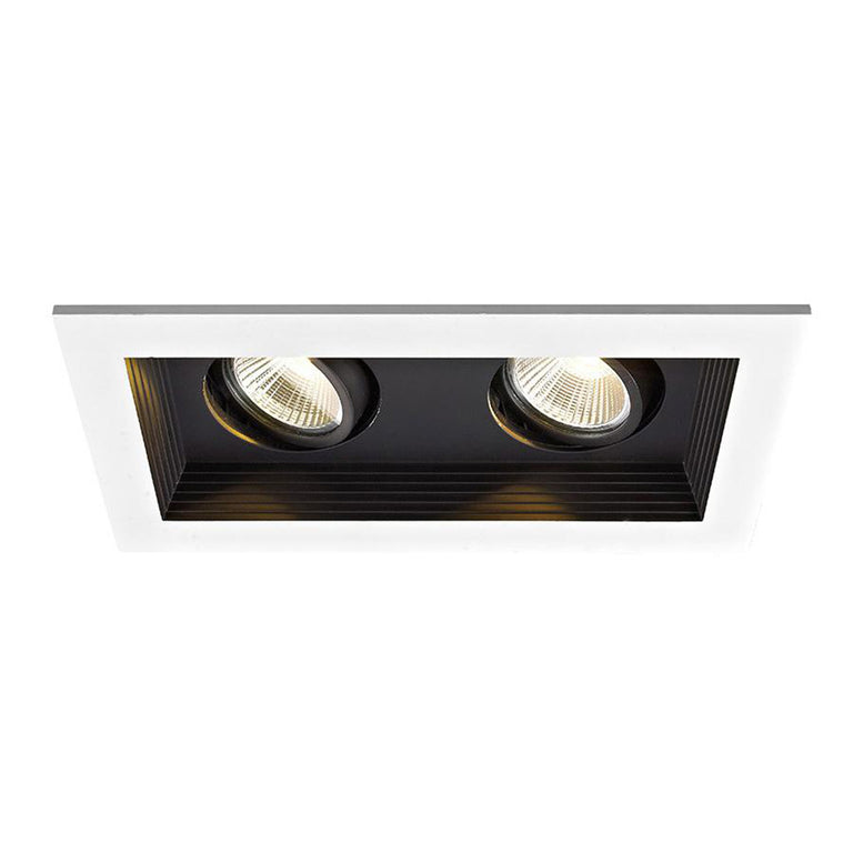 WAC Lighting Mini Multiple Spots Two Light Recessed Trim and Housing ...
