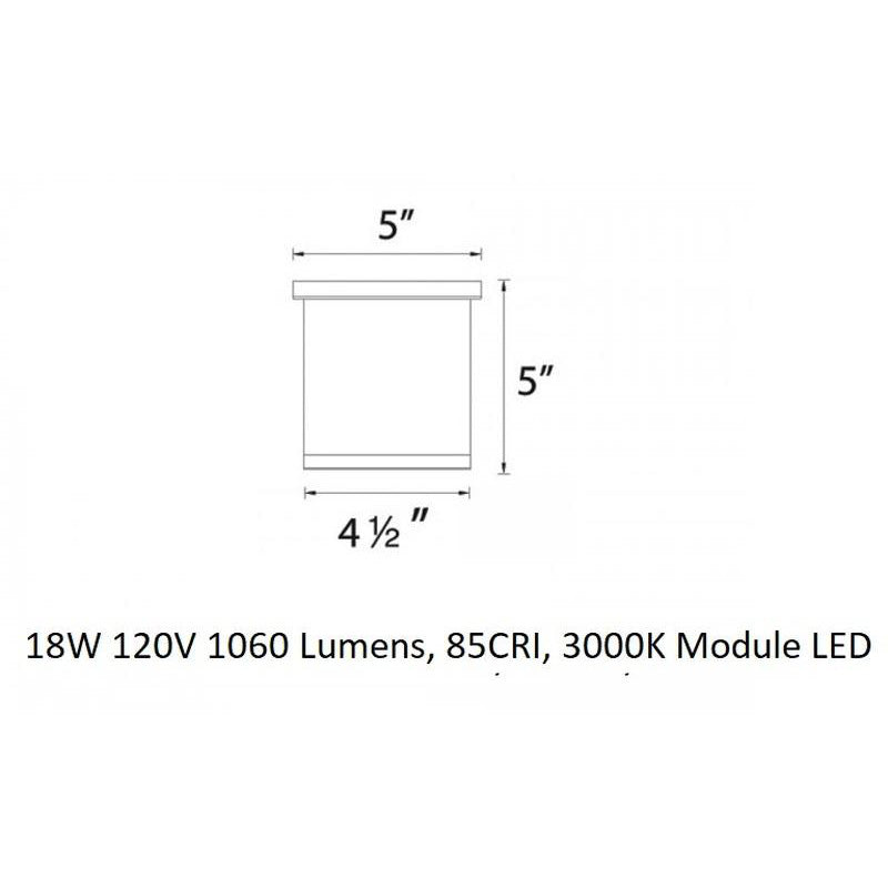 WAC Lighting Tube Indoor/Outdoor Flush Mount - 2Modern